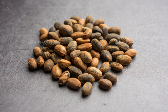 Jamalgota or Jayapala - Croton tiglium seed is an Ayurvedic medicine ...