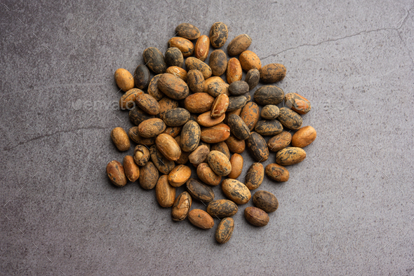 Jamalgota or Jayapala - Croton tiglium seed is an Ayurvedic medicine ...