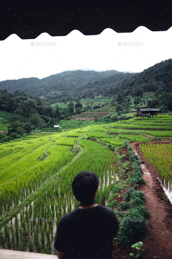 Rice field vacation, people at huts and rice terraces Stock Photo by ...