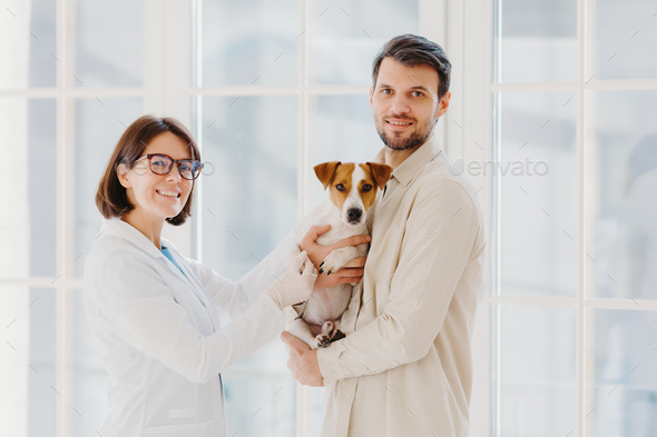 Vet female and male pet owner poses with favourite dog, come to ...