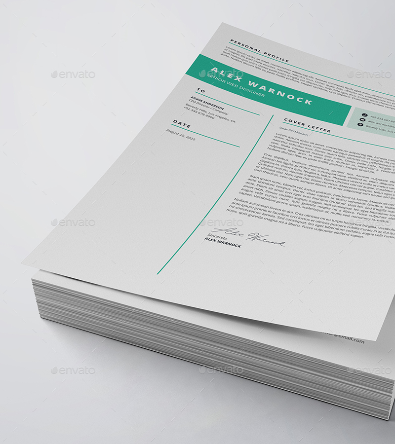 Simple Resume/CV, Print Templates | GraphicRiver
