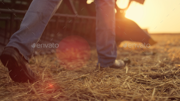 Farmer foot going field straw inspect combine at sunset. Golden harvest ...