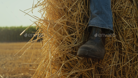 Closeup boot hay stack at wheat stubble field. Farmer resting at straw ...