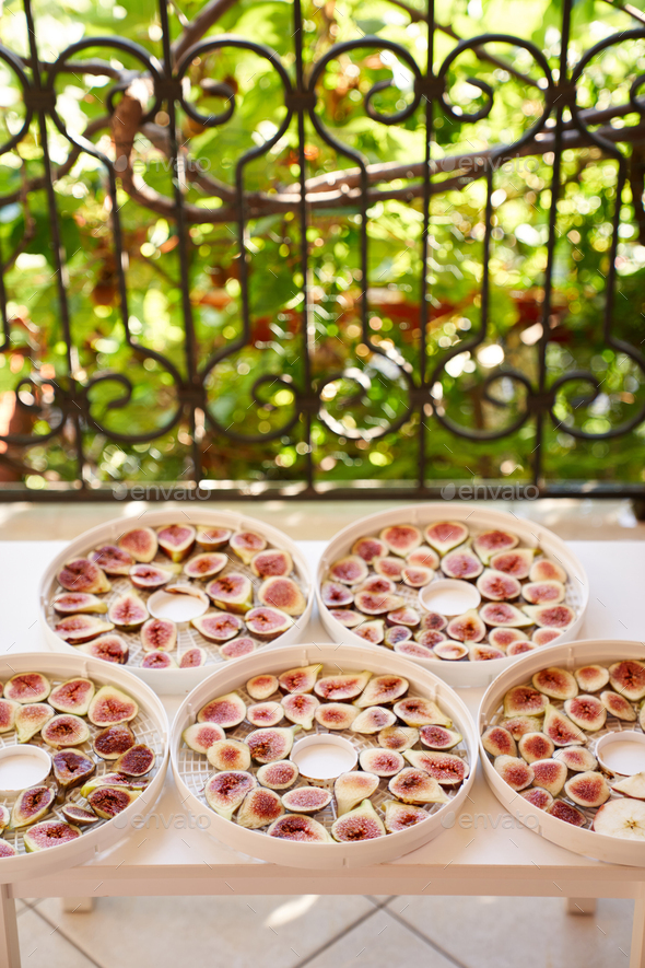 Figs drying process on plates on the table on the balcony Stock Photo ...