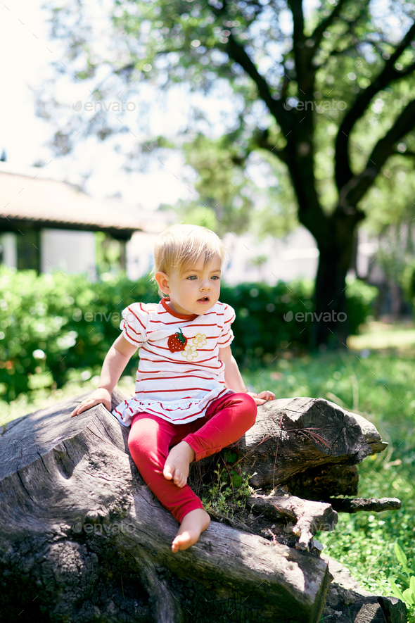Little barefoot kid sits on a tree stump in a green park Stock Photo by ...