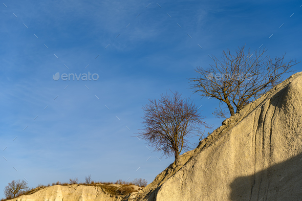 Limestone cliff with trees on the top at limestone quarry Stock Photo ...