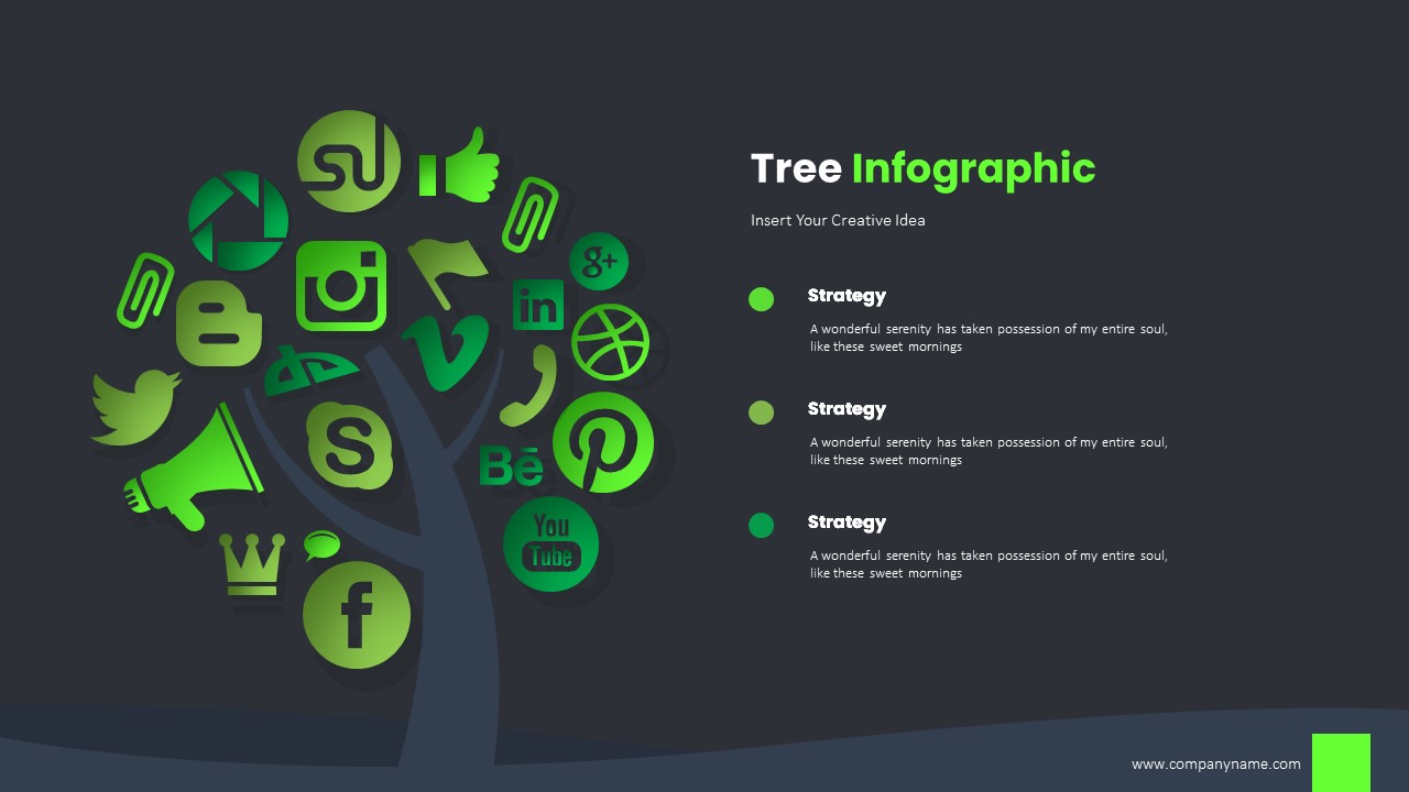 Tree Infographic Keynote templates, Presentation Templates | GraphicRiver