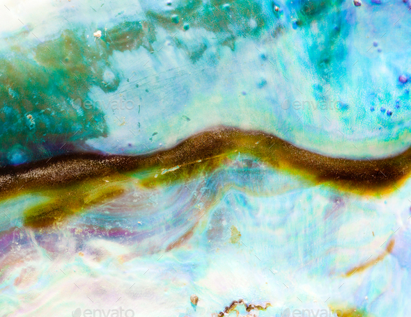 Shiny nacre of Paua or Abalone shell background Stock Photo by pilens