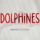 Dolphines Handwritten Font, Fonts | GraphicRiver