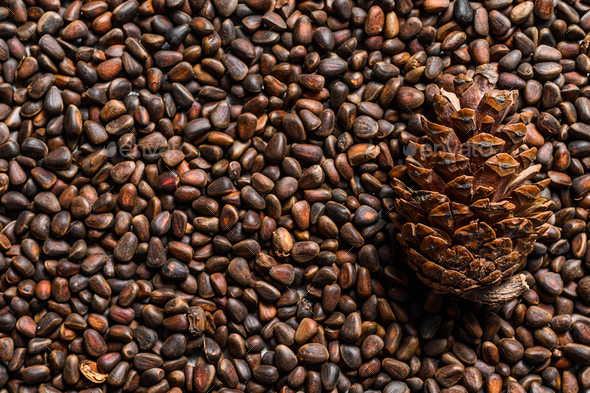 texture of raw pine nuts in shell. Top view Stock Photo by composter-box