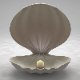 Clamshell with a Pearl by pinnaclecgarts | 3DOcean
