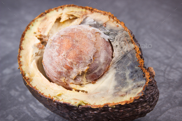 Half of an avocado with mold. Dark background. Unhealthy and spoiled ...