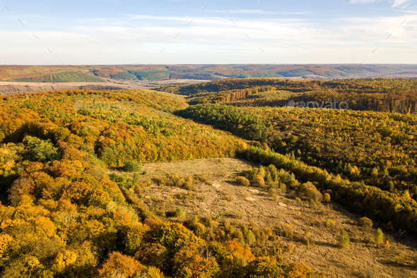Top down aerial view of green and yellow canopies in autumn forest with ...