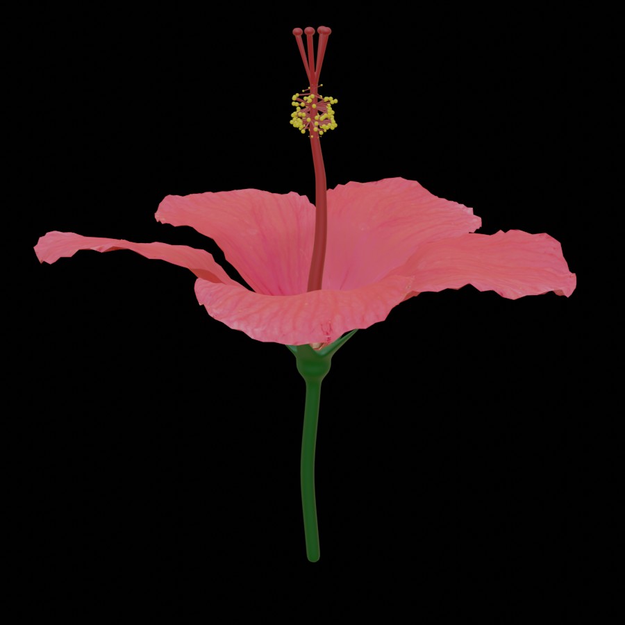 Hibiscus 3D model by SF_Dragon | 3DOcean