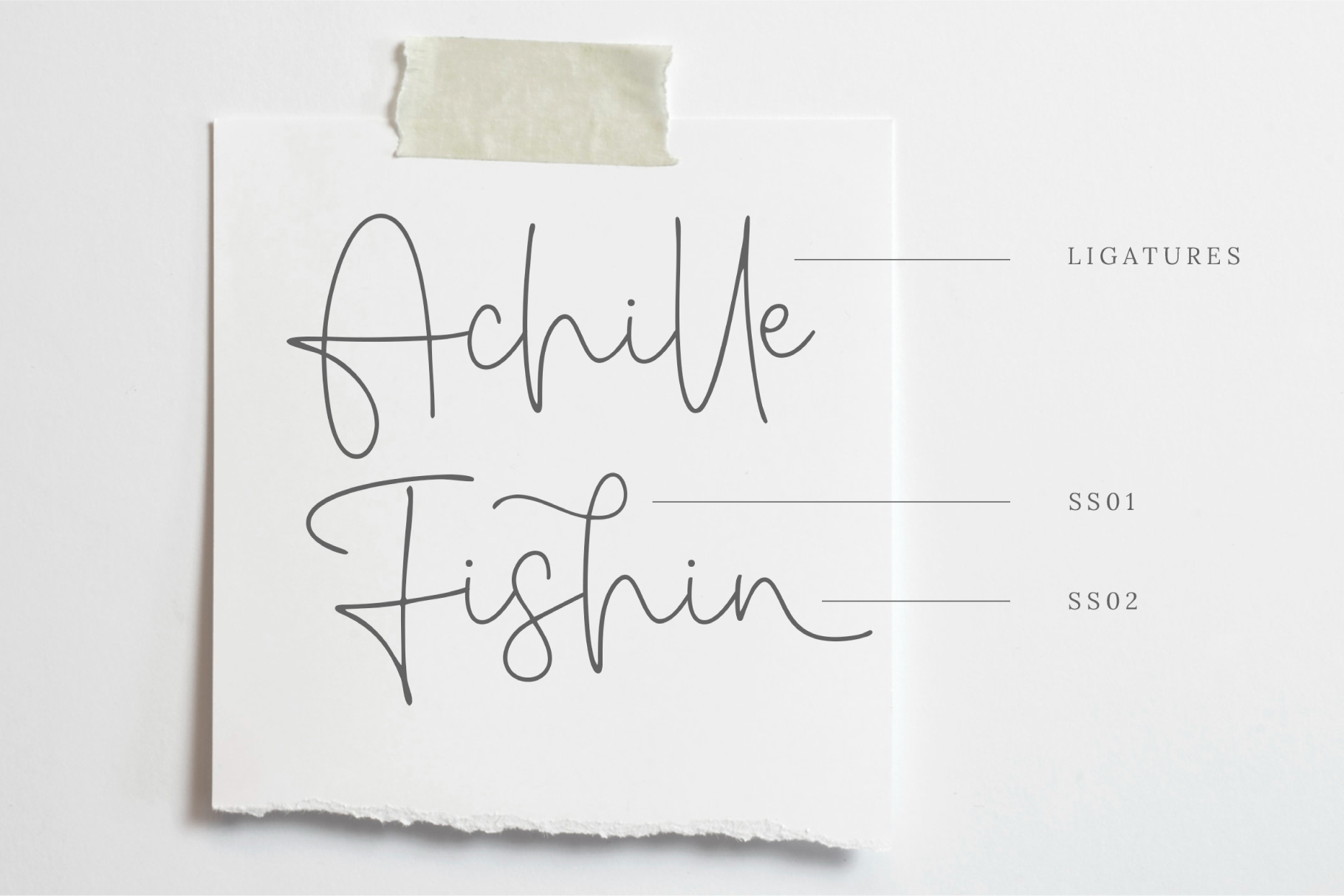 Amichan Script, Fonts | GraphicRiver