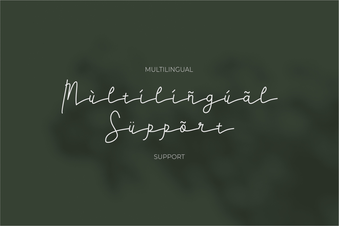 Adelinata - Elongated Signature Font by suhadidesign | GraphicRiver