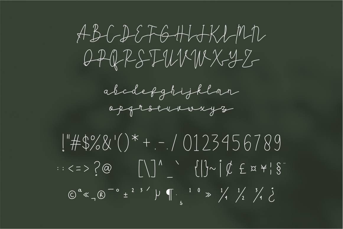 Adelinata - Elongated Signature Font by suhadidesign | GraphicRiver