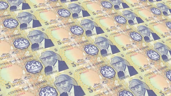 Lesotho Money / 5 Lesotho Loti 4K, Motion Graphics | VideoHive