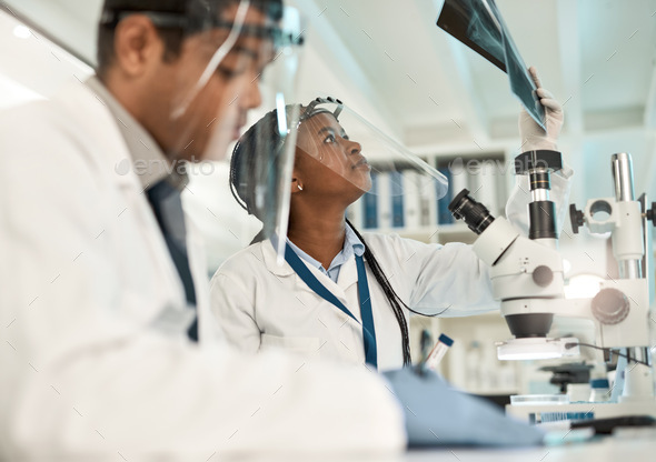 Shot of a young scientist analysing x-rays while working alongside a ...