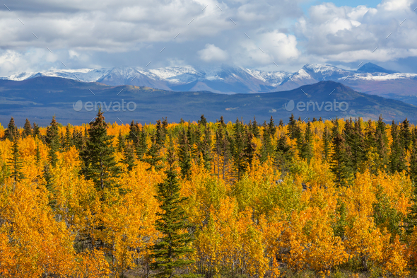 Autumn in Canada Stock Photo by Galyna_Andrushko | PhotoDune