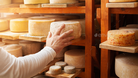 male, man cheese maker businessman, individual entrepreneur, checks ...