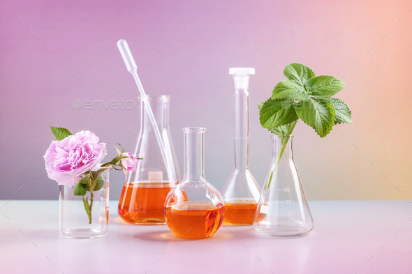 laboratory beakers, rosehip flower and mint leaves on a gradient ...
