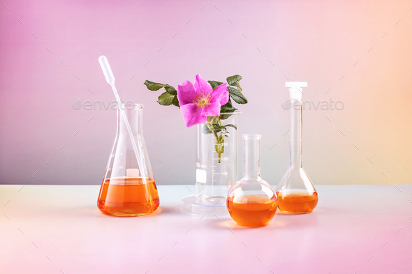 laboratory beakers and rosehip flower on a gradient background Stock ...