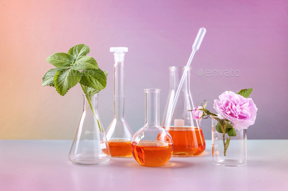 laboratory beakers, rosehip flower and mint leaves on a gradient ...