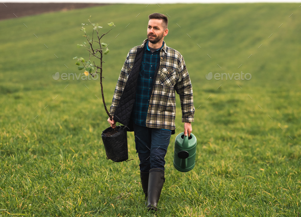 The handsome man is going to plant a tree in the field. Stock Photo by ...