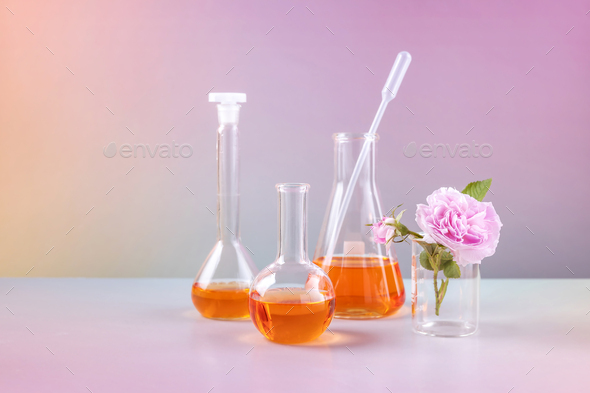 laboratory beakers and rosehip flower on a gradient background Stock ...