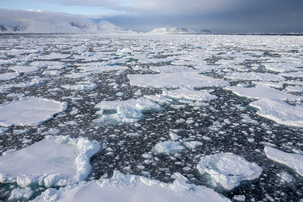 Sea Ice - North Atlantic - Greenland Stock Photo by SteveAllenPhoto999