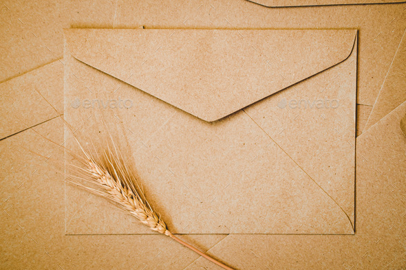 Brown paper envelope with Barley dry flower. Close-up of Craft envelope ...