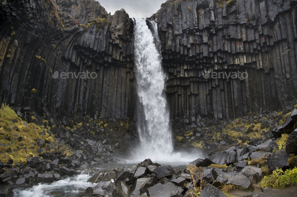Basalt columns - Svartifoss Waterfall - Iceland Stock Photo by ...