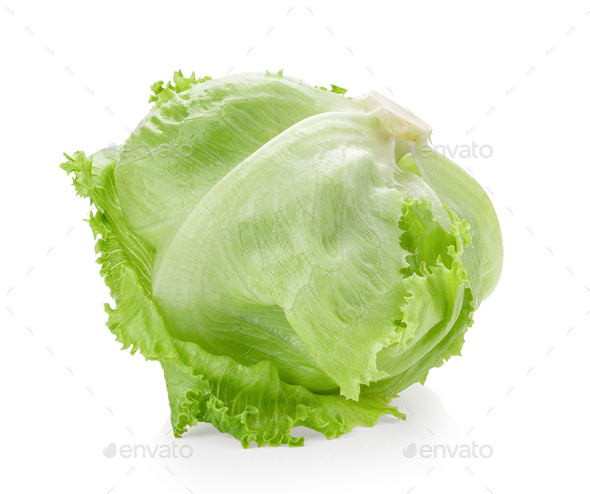 iceberg cabbage on white background Stock Photo by sommai | PhotoDune