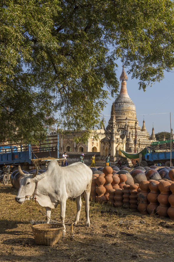Village Life - Bagan - Myanmar Stock Photo by SteveAllenPhoto999 ...