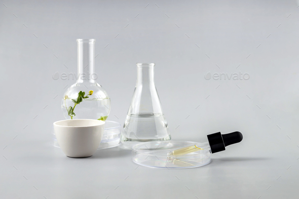 laboratory flasks and pipette with essential oil in a petri dish on a ...