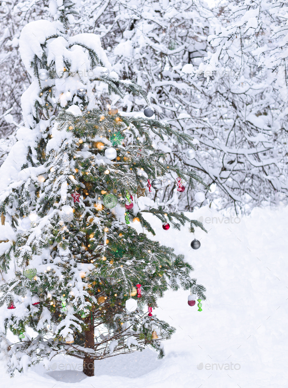 Decorated Christmas tree outdoors in forest Stock Photo by JulieAlexK
