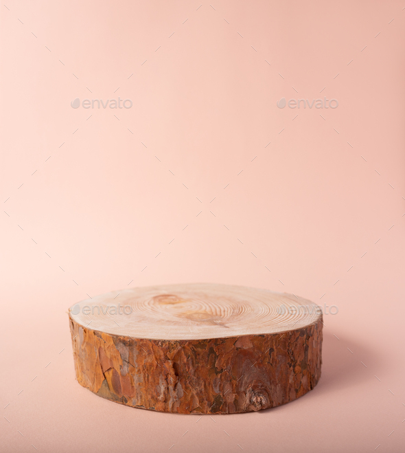 Wooden eco rustic pine tree wood circle disc platform podium on beige ...