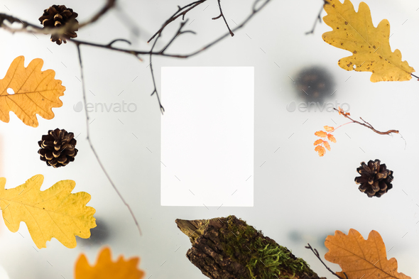 Autumn leaves on a hazy multi-level background, with natural elements ...