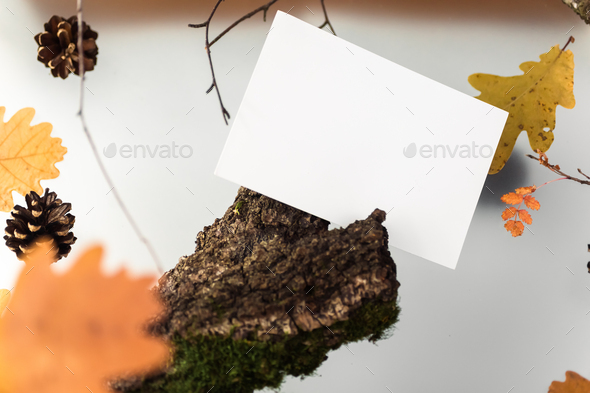 Autumn leaves on a hazy multi-level background, with natural elements ...