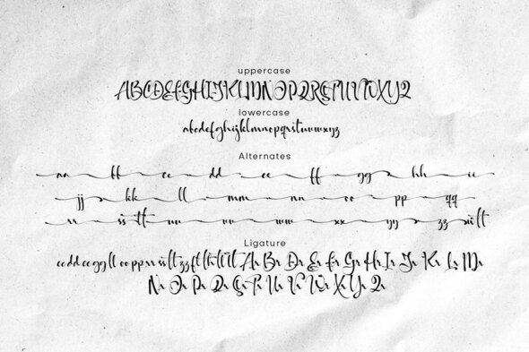 Souljah - Organic Script, Fonts | GraphicRiver