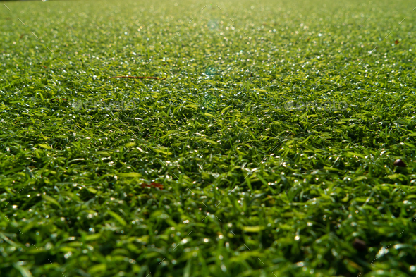 Top view Close-up Of Artificial grass texture, Artificial grass ...