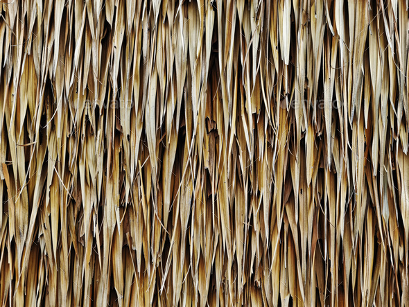 Full Frame Texture Background of Dry Brown Thatched Reed Wall Stock ...