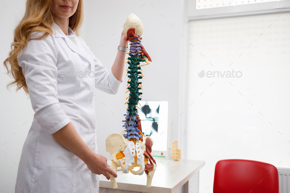 Female doctor with anatomical spine model in clinic Stock Photo by borodai