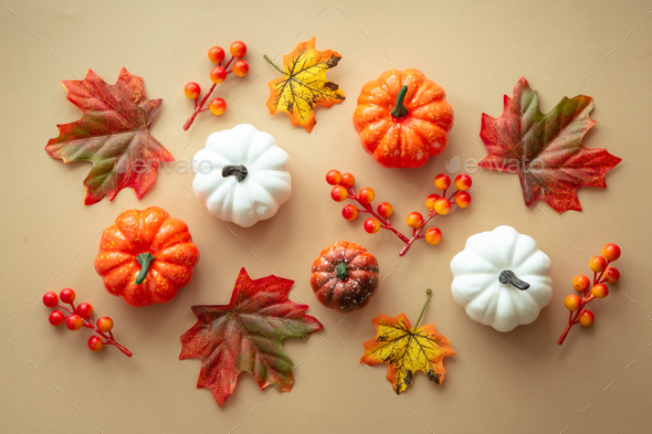 Fall autumn flat lay background. Pumpkins and fall leaves. Stock Photo ...
