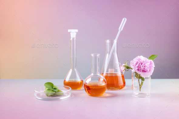 laboratory beakers, rose flower and mint leaves in a petri dish on a ...
