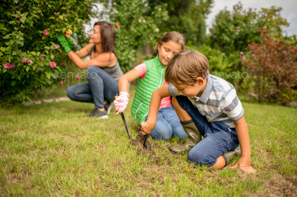 Children digging for planting while their mom take care of plants in ...