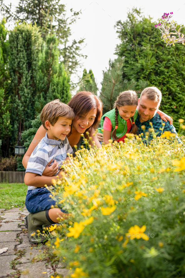 Happy family in garden looking at plants on sunny day Stock Photo by ...