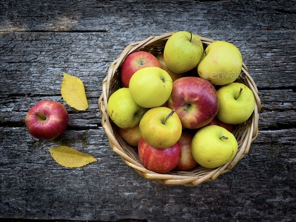 Wooden basket filled with red and golden apples placed on a rustic ...