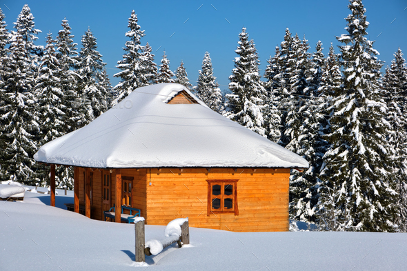 Small wooden house covered with fresh fallen snow surrounded with tall ...